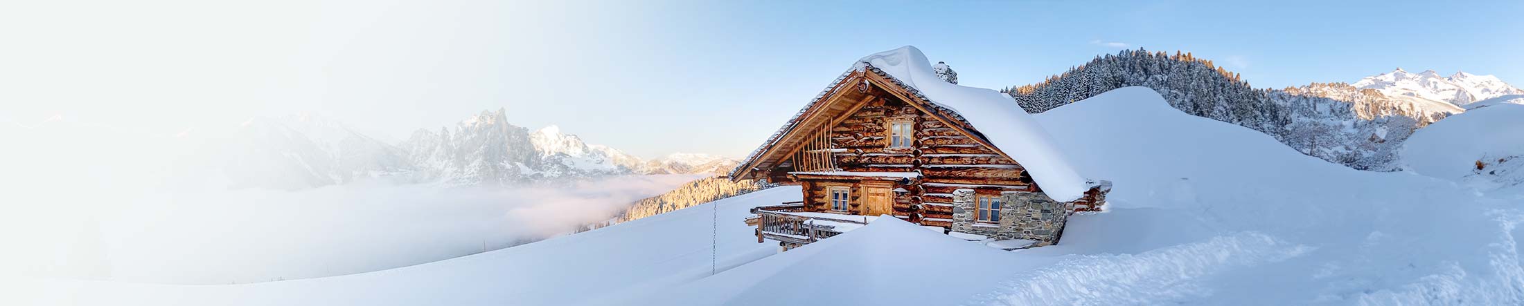 Baltic Windows - Premium European Wood Windows in Vancouver