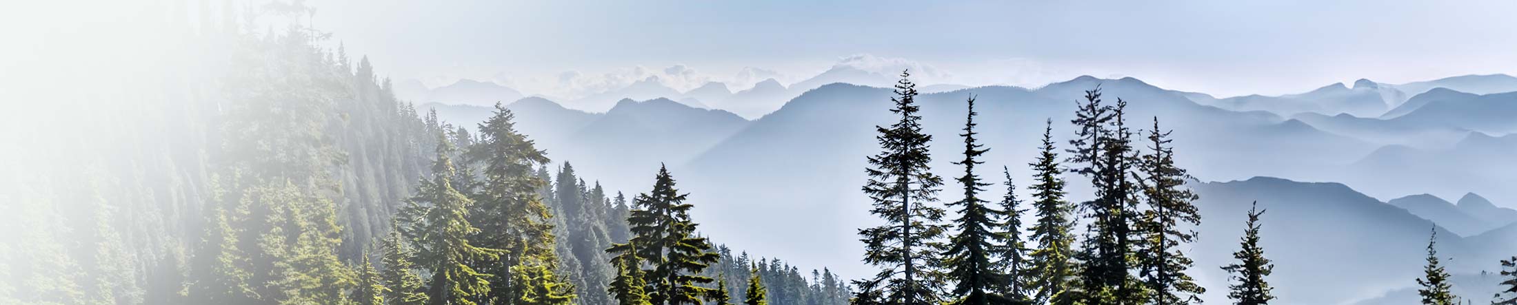 Baltic Windows - Premium European Wood Windows in Vancouver